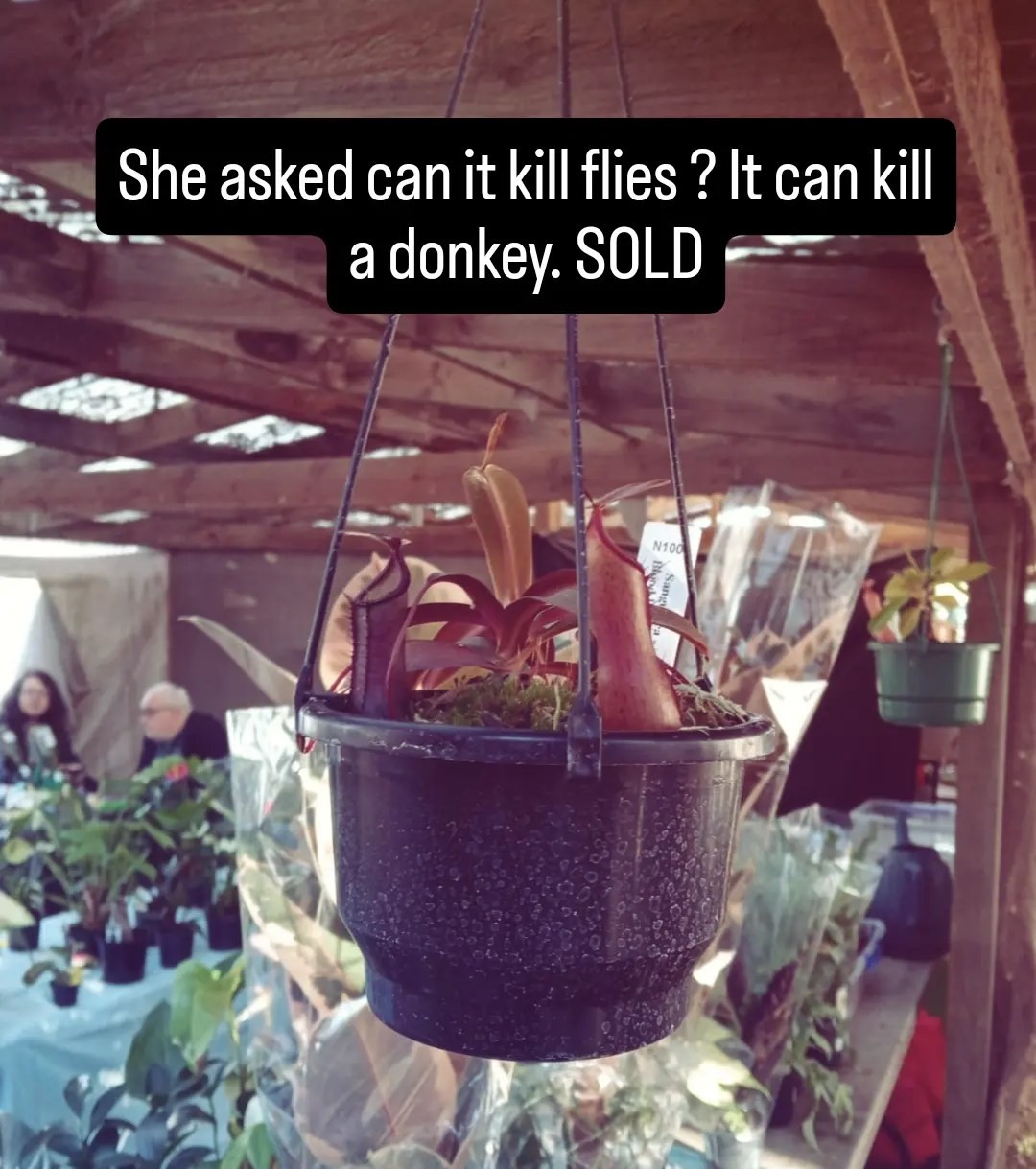 Blog | Plants, Babywear, Gifts, Toys and more! | Gift Tree NZ ...